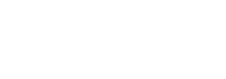 Traffic Log Pro is a product of Recreational Dealer Solutions, LLC.